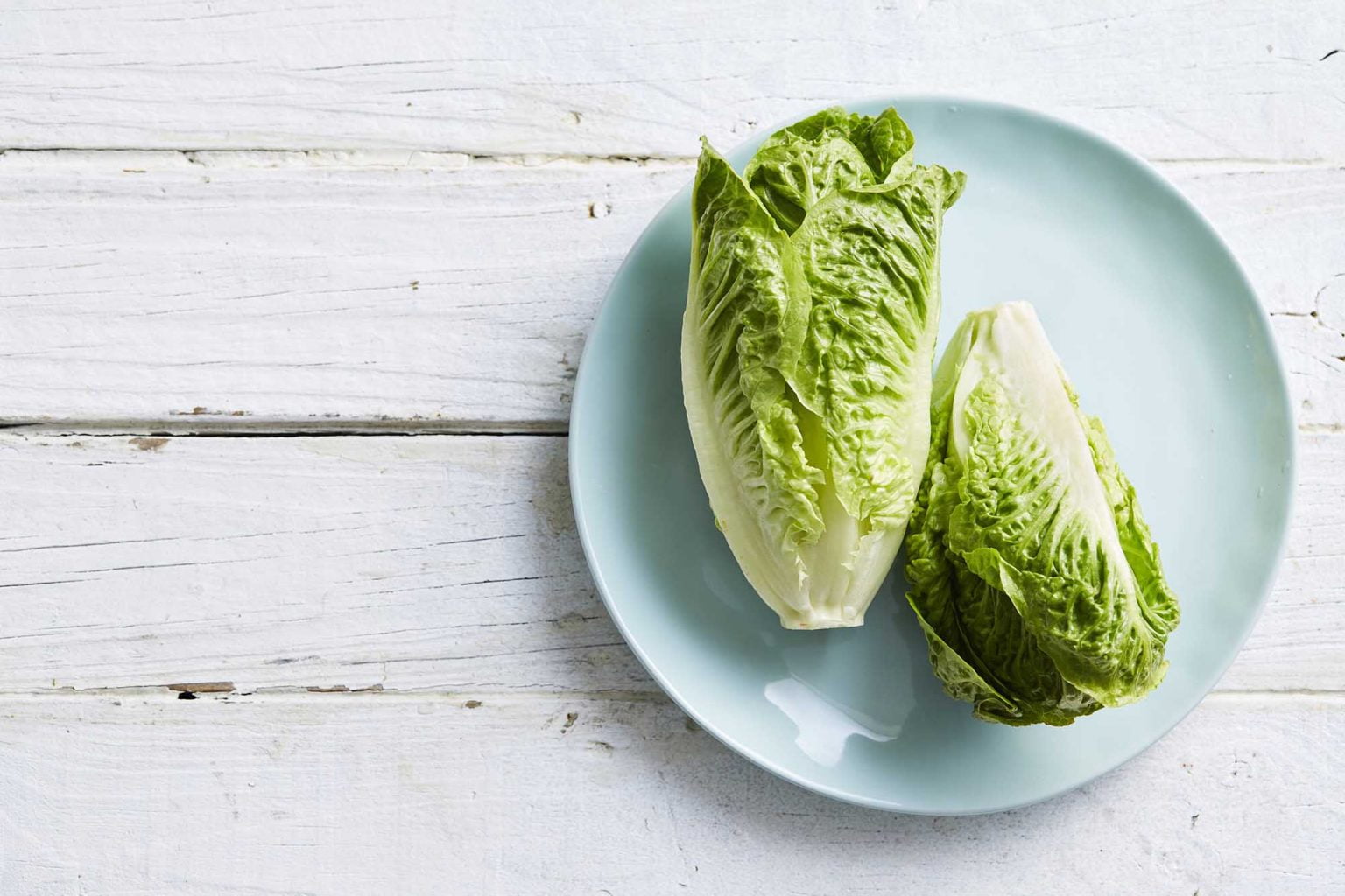 Xà Lách Romaine Baby 290GR - KOJAVM - Prime Perfection Fresh Veggies