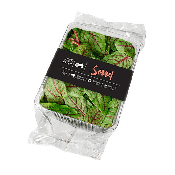 Rau Chua Gân Đỏ Baby Sorrel - KOJAVM - Prime Perfection Fresh Veggies